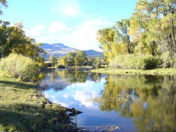 Home - River Island Ranch